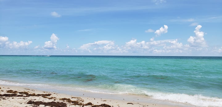 Cozy Apt In North Miami Beach, 2 Blocks From Beach - North Miami Beach