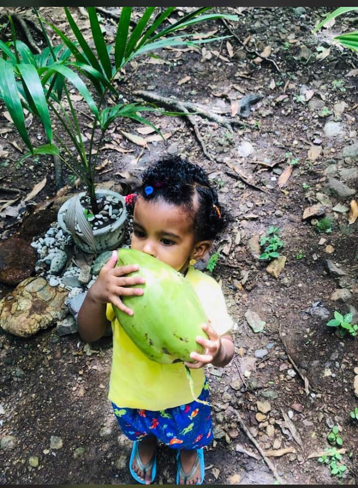 Anointed Apartments - Saint Lucia