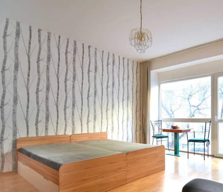 Lovely 1-room Flat In Bratislava Old Town - Bratislava