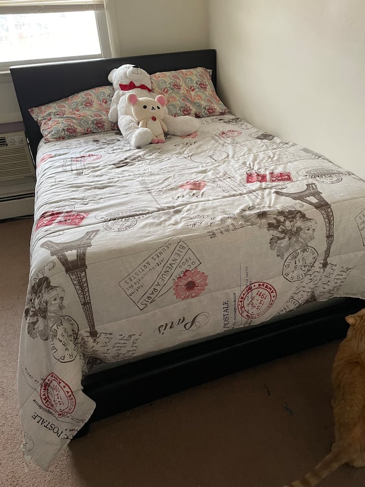 1 Bedroom Available In A 2 Bedroom Apartment - Middletown, NY