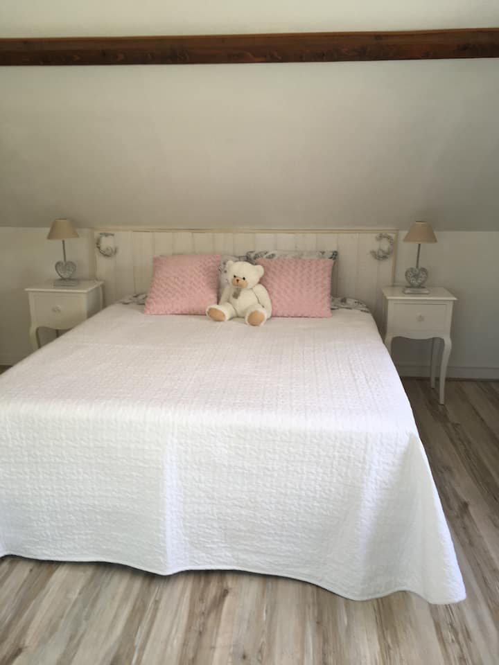 Messas : Le Clos Des Ecureuils - Beaugency