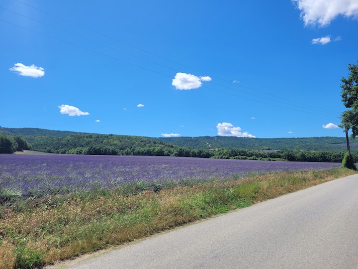 Agréable Chambre, Au Coeur Du Pays De La Lavande - Moustiers-Sainte-Marie