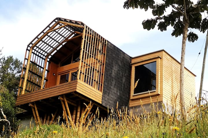 Disfruta De La Naturaleza En Nuestro Ecolodge - Guarne