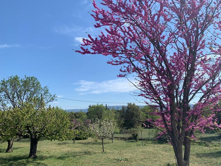La Lavande - Maison De Vacances En Provence - Gordes