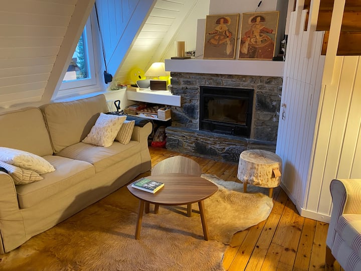 Eth Pich Penthouse Vielha - Vielha