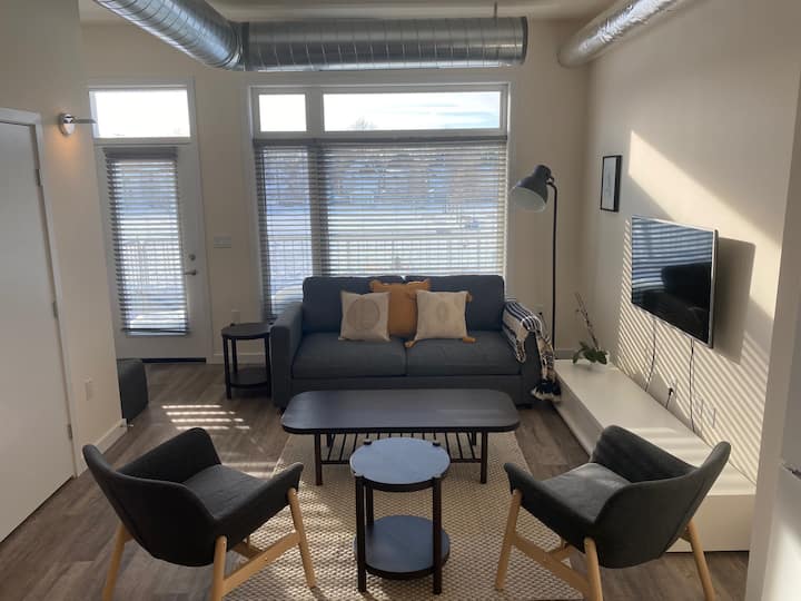 Lovely 2-bedroom, 2-storey Loft With Large Patio - Winnipeg