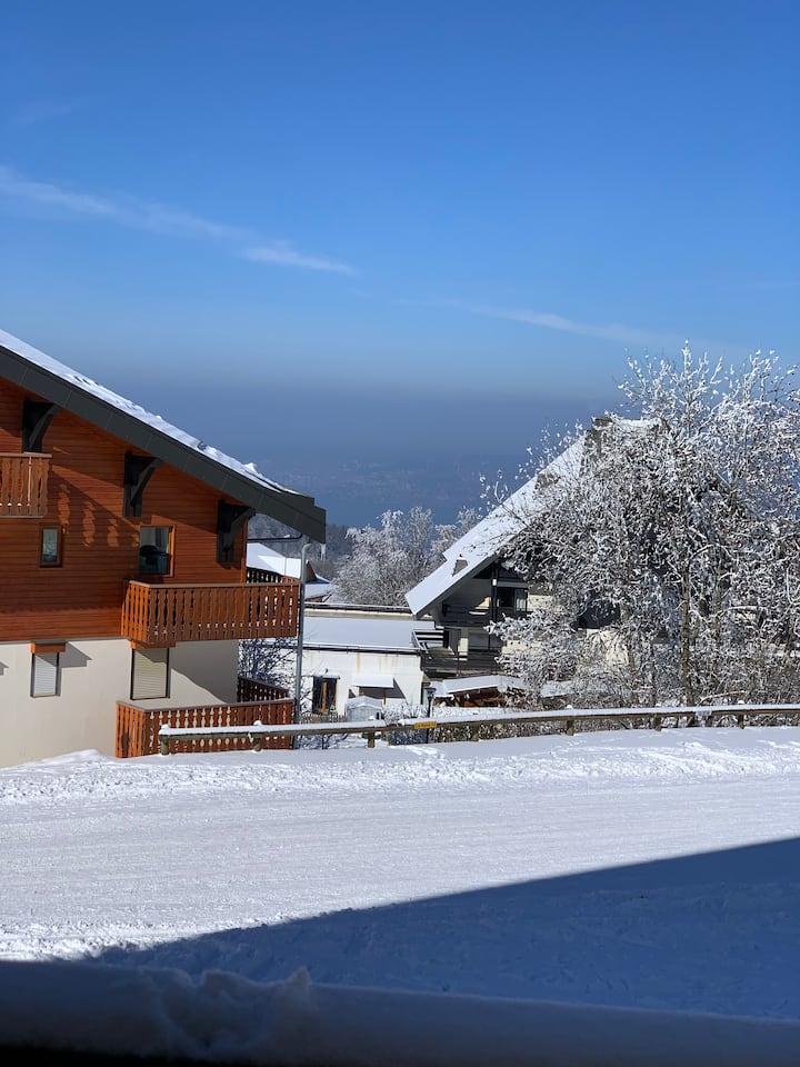 Cocon Savoyard à Thollon Les Mémises - Thollon-les-Mémises