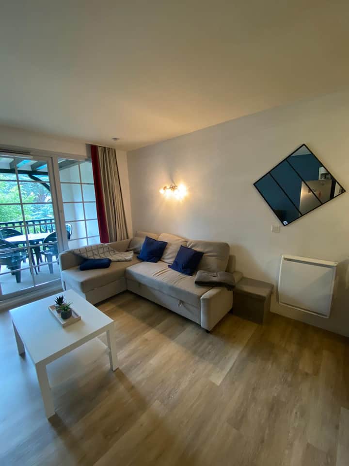 Superbe Appartement En Résidence Avec Piscine - Ispoure
