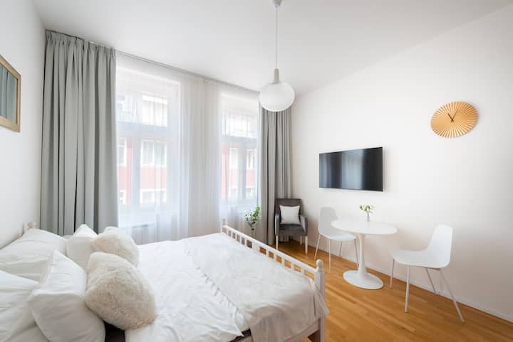 New & Sunny Studio In Heart Of Prague (Pricnk2) - Prag