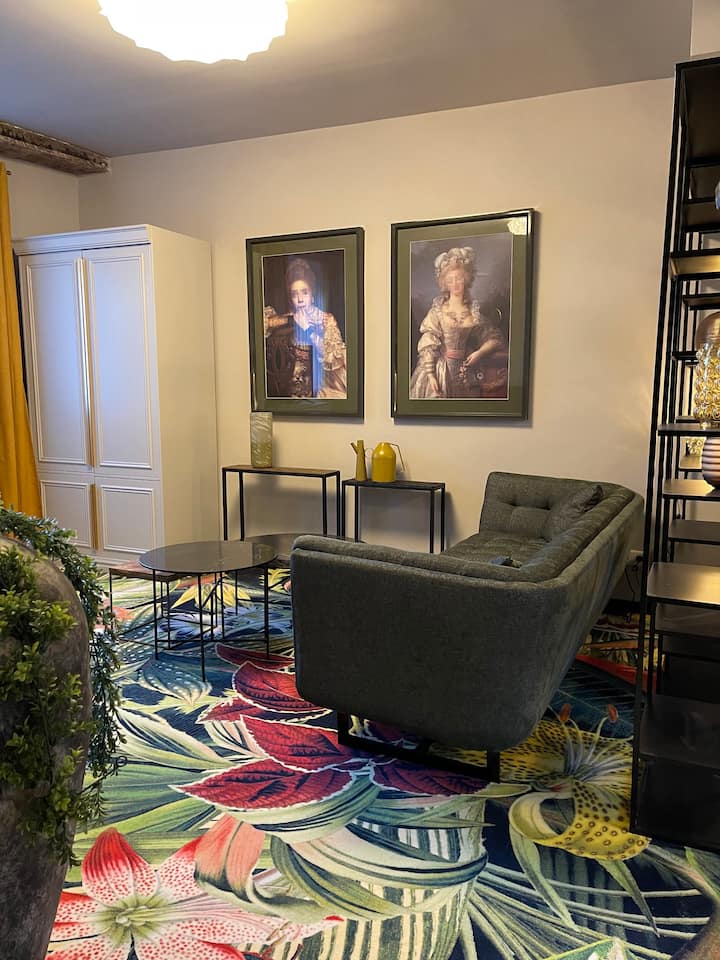 Altstadt-apartment Opal - Ratisbona