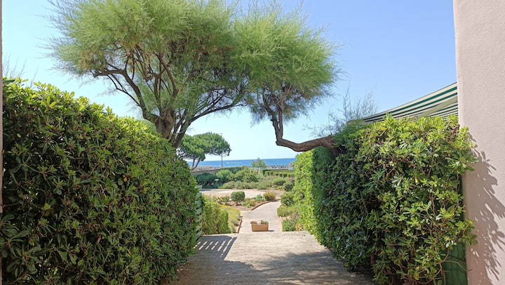 Studio Cabine à Sète, Plage Du Lazaret - Sète