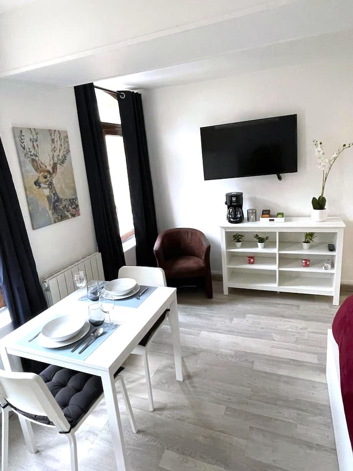 2 Appartements Indépendants Avec Terrasse Commune - Arras