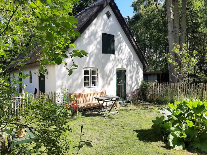 Smukt Og Hyggeligt Gæstehus Nær Skov Og Sandstrand - Denmark