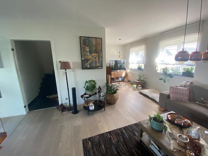 Huis In Niel, Voor Tomorrowland Met Vervoer. - Boom