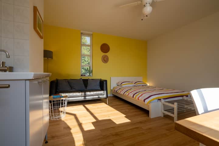 A Very Sunny Room With Private Shower And Toilet - Eindhoven