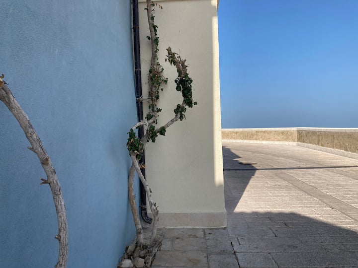 Dimora Stephanus - Camera Bassus - Termoli