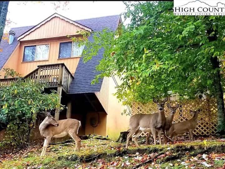 Beech Mountain 3/2 Condo, Heated Pool, Hot Tub. - Beech Mountain, NC
