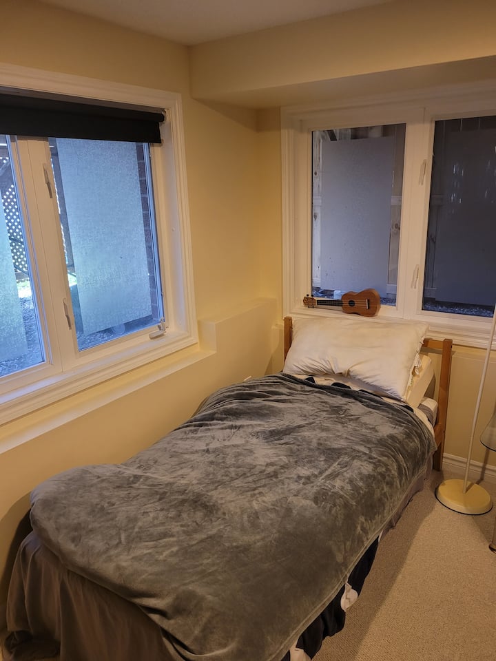 Above-ground Basement Unit With Private Bathroom. - Kanata