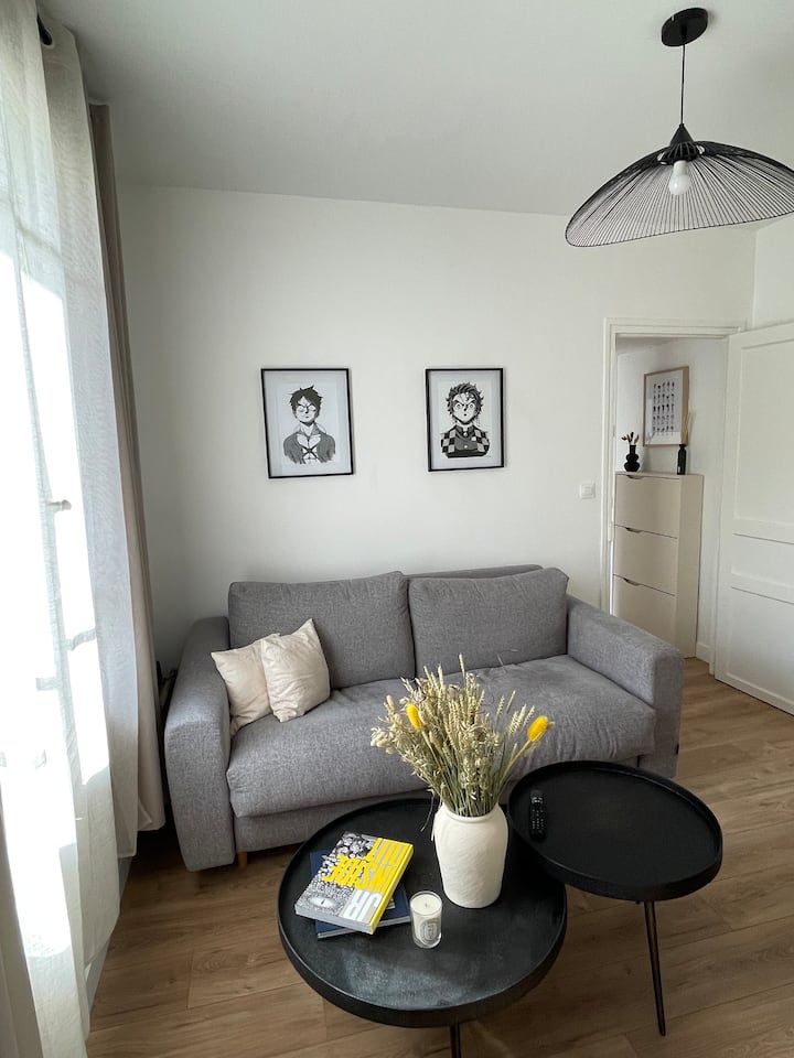 Super T2 à 15min De Paris - Maisons-Alfort