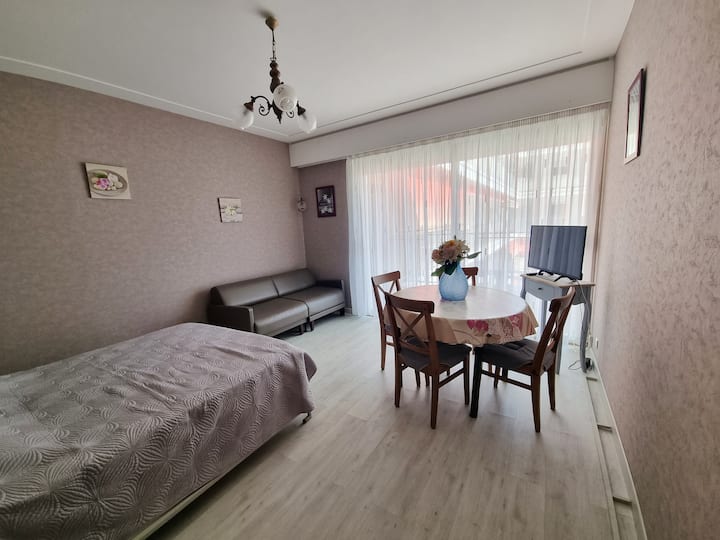 Studio Au Bord De Mer De Menton à Garavan - Menton