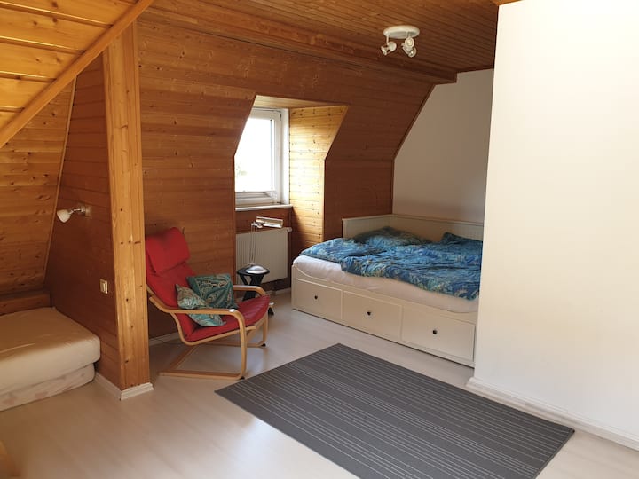 Eigene Etage Im Einfamilienhaus Mit Herkulesblick. - Kassel