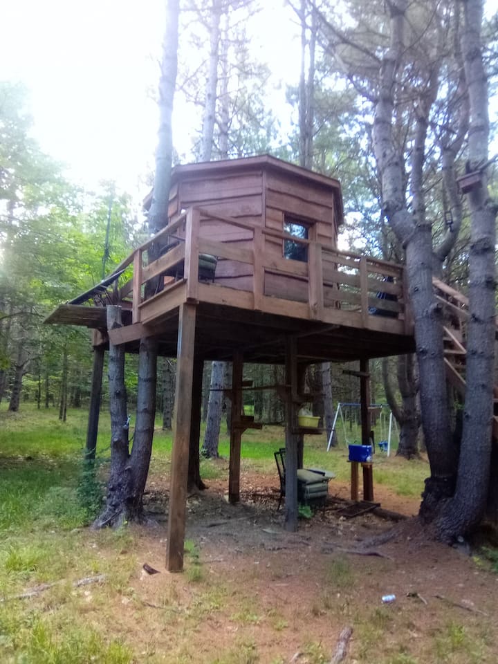 Octagon Tree House With Fire Pit And Wooded Site. - Watkins Glen, NY