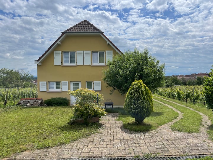 Maison En Plein Vignoble - Soultzmatt