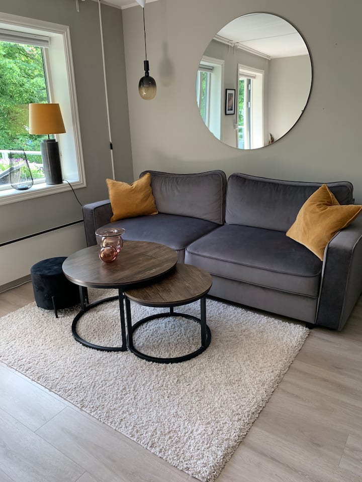 Fin Leilighet Sentralt I Oslo - Oslo