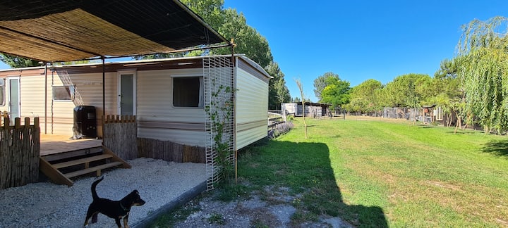 Mobil Home A La Ferme Chaleureux Et Calme - L'Isle-sur-la-Sorgue