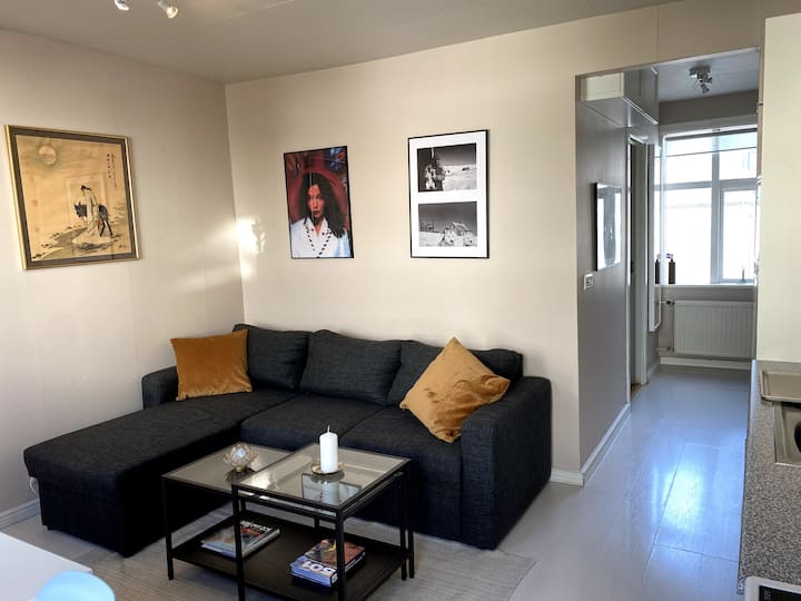 City Center Charm: Entire Apartment In Reykjavik - Reykjavik