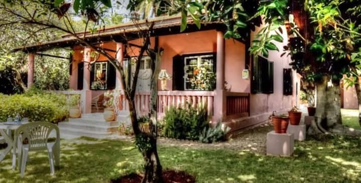 Charmante Maison Avec Bungalow Au Coeur De L'oasis - Casablanca