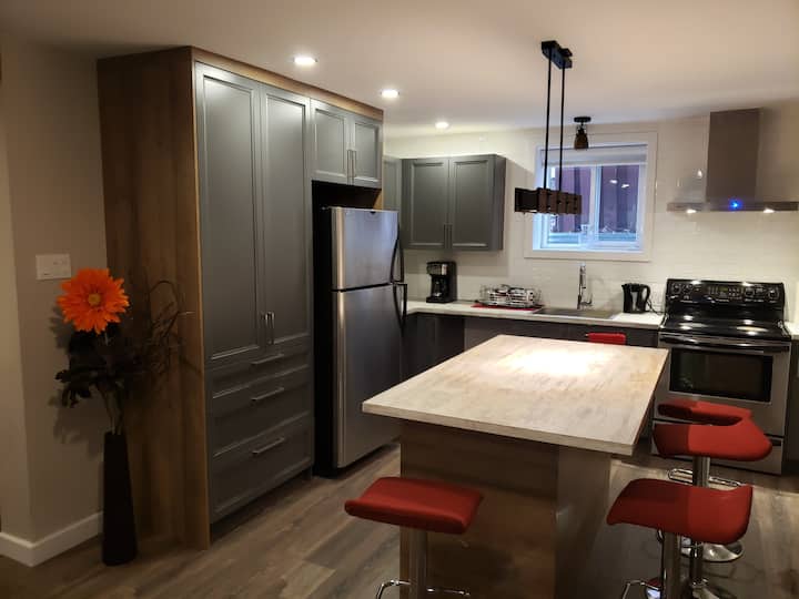 Superbe Appartement Moderne Proche Du Centre-ville - Boucherville