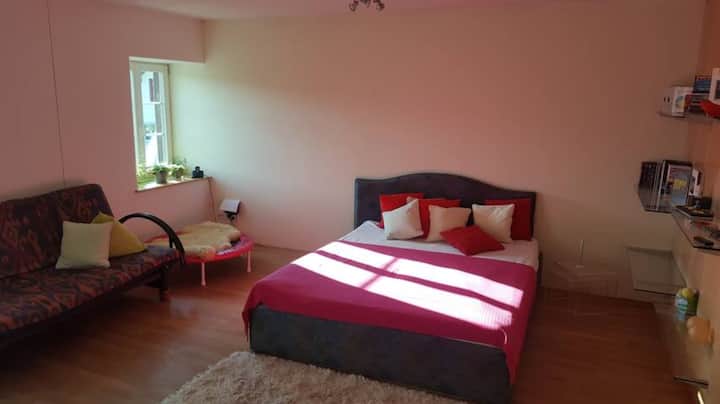 Residenz üBer Dem Dorf Bis Zwei Personen - Winterthur