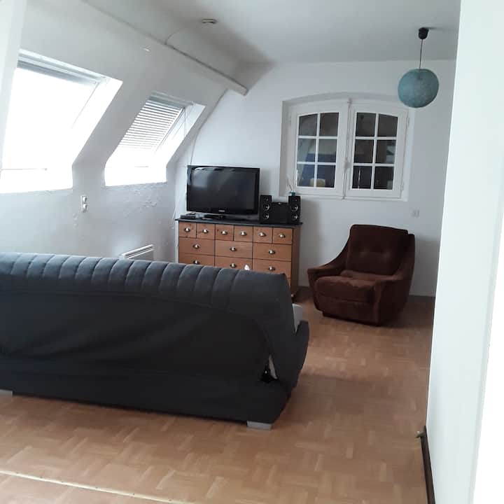 Appart Proche Tous Commerces, Accès Centre En Bus. - Tarbes