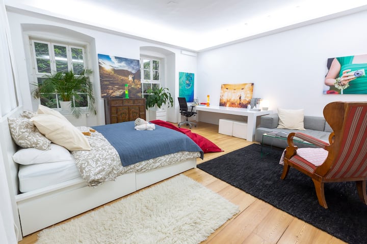 Bijou Viennois Caché : Vaste Chambre Dans Loft - Wien