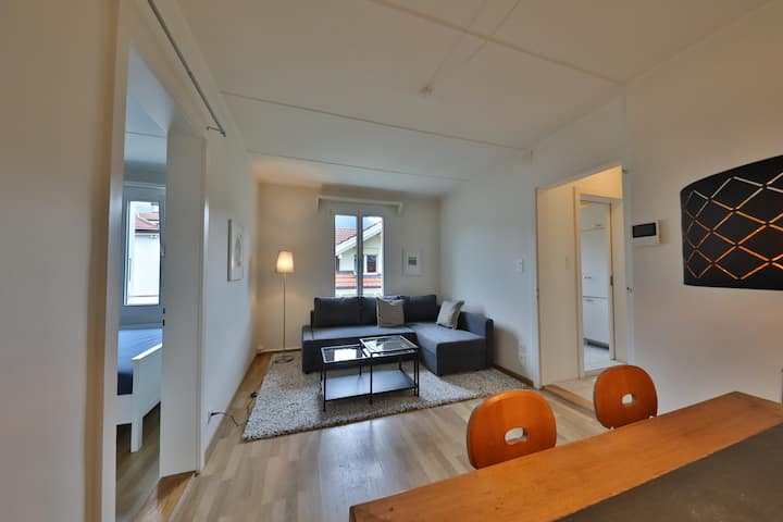 City Center Union 5 Apartment - Interlaken
