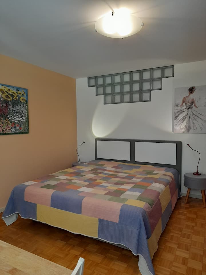 2 Stanze In App. Privato - Accesso Indipendente - Minusio