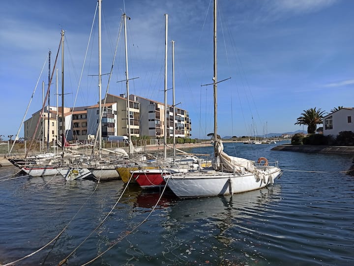 Superbe 2 Pièces,150 M Plage, Résid. Avec Piscine - Saint-Cyprien
