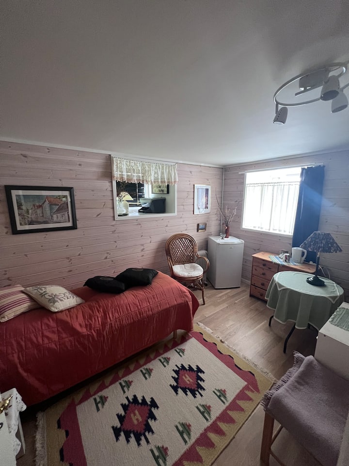 Women Only: Single Bedroom City Central Appartment - Stavanger