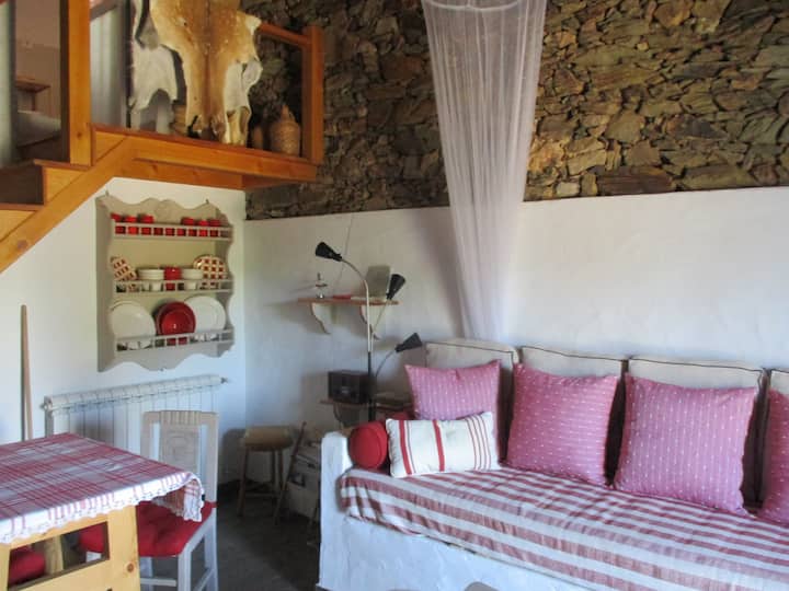 Petite Maison En Pierre à La Campagne - Mação