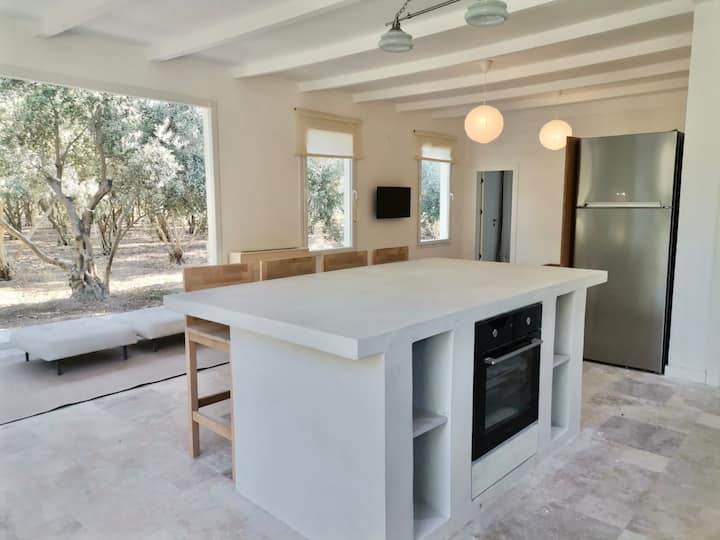 A Unique House Among The Olive Trees In Urla - Urla