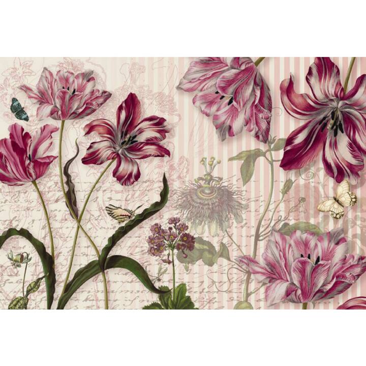 Elégant Gîte Shabby-chic Pour Non-fumeurs - Aveyron