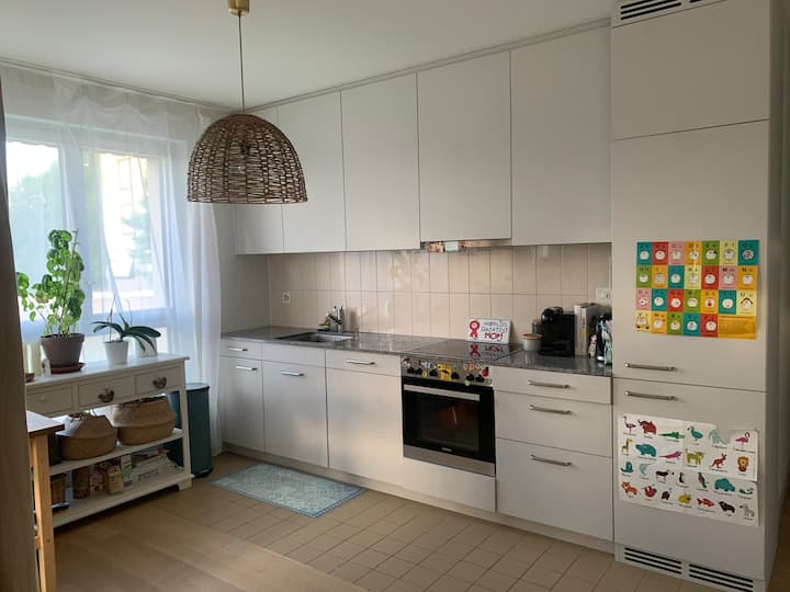Cosy Appartement Lumineux & Calme - Lake Geneva