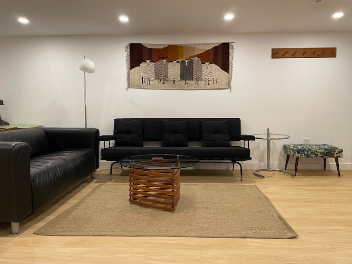 Apartment In Toronto’s Trendiest Neighbourhood - 多倫多