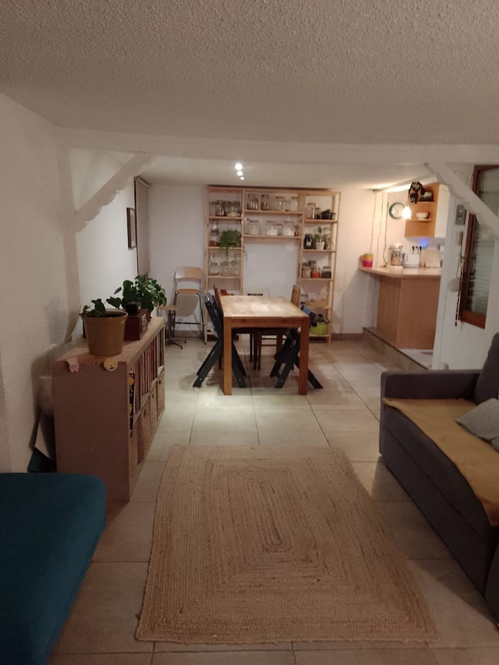 Agréable Maison De Ville Comme à La Campagne. - Strasbourg