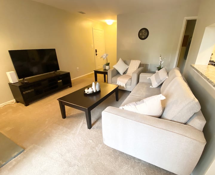 Charming 1-bedroom Condo Near Reston Town Center - Herndon, VA
