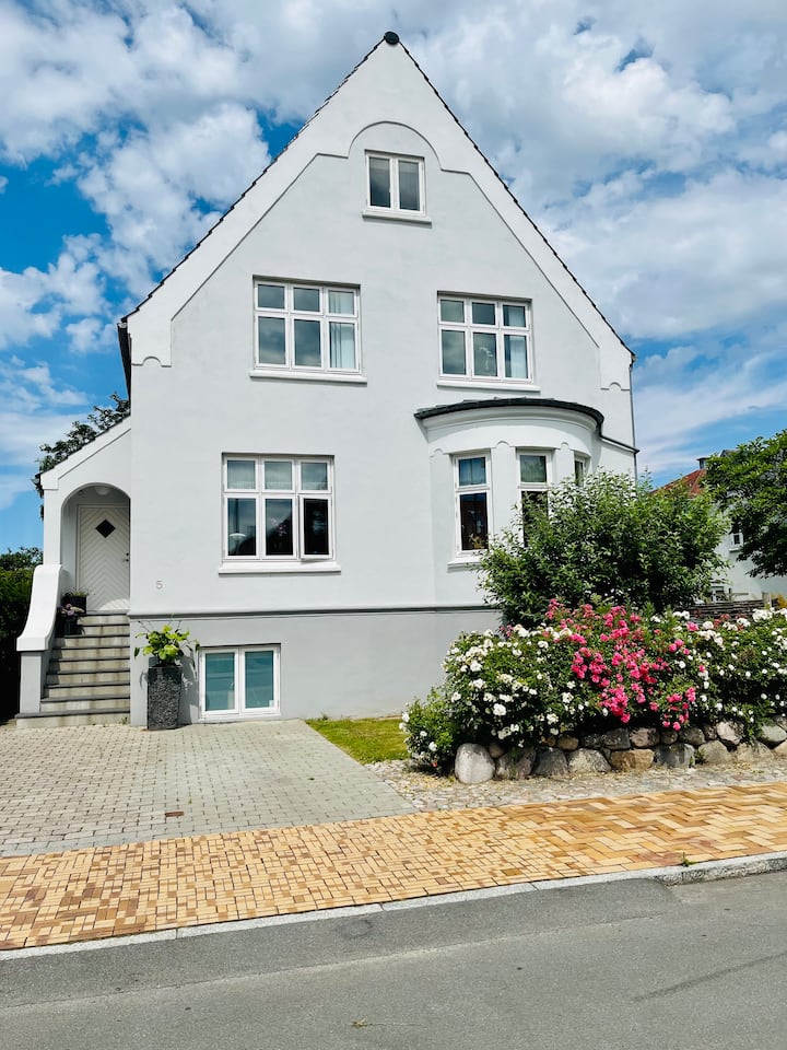 Skøn Lejlighed I Stille Kvarter Tæt På Centrum - Odense