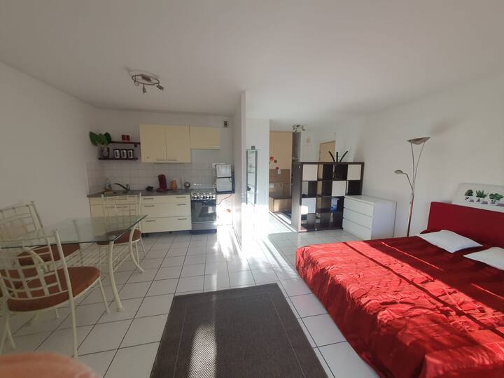 Grand Studio Avec  Terrasse - Annecy