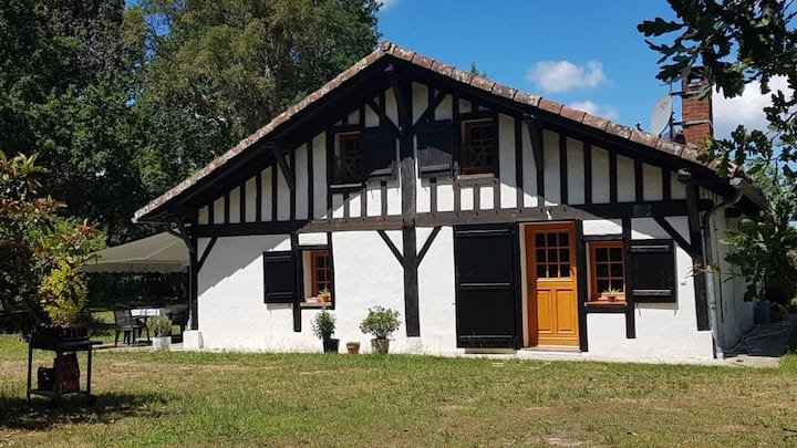 Maison Landaise Sur Airial Pour 6 Pers, 3 Chambres - Moliets-et-Maa