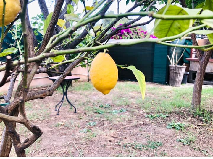 San Teodoro - Sun And Bass - Mare & Divertimento - San Teodoro